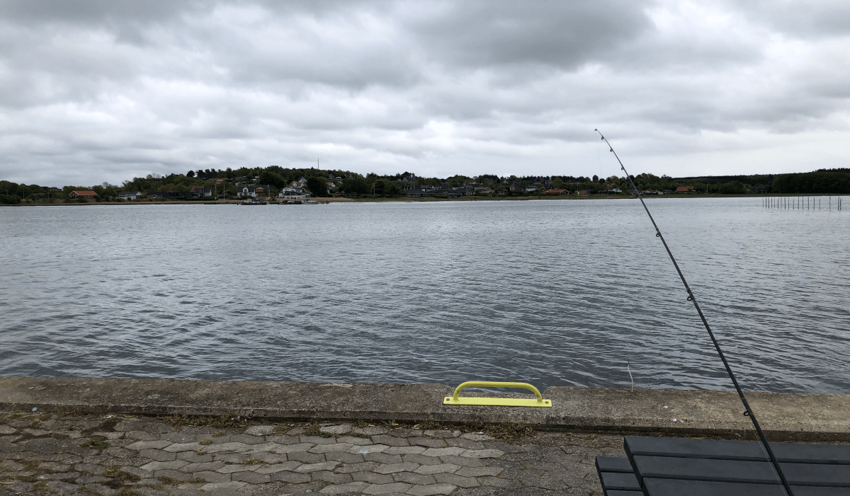 Hadsund havn | Fjordfisker